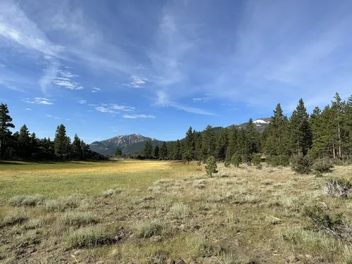 10 Best Hikes and Trails in Humboldt-Toiyabe National Forest | AllTrails