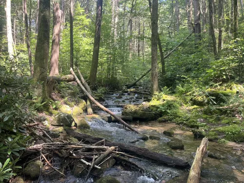 10 Best Trails and Hikes in State College | AllTrails