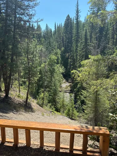 2023 Best Forest Trails in Jaffray | AllTrails