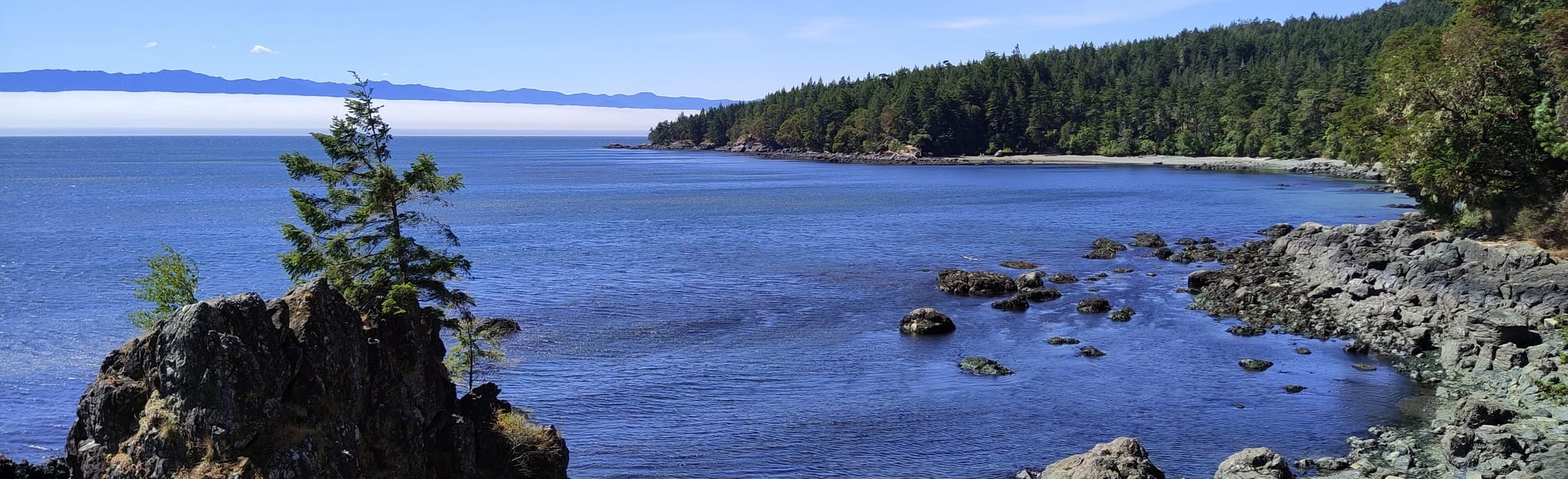 Beechey Head via Coast Trail: 166 Reviews, Map - British Columbia ...