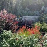 Red Butte Gardens Small Loop, Utah - 214 Reviews, Map | AllTrails