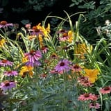 Red Butte Gardens Small Loop, Utah - 214 Reviews, Map | AllTrails