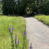 Red Butte Gardens Small Loop, Utah - 214 Reviews, Map | AllTrails