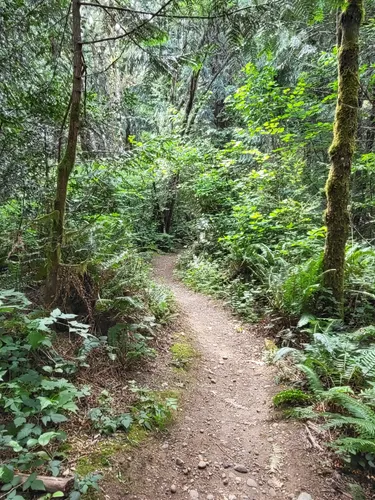 Best Hikes and Trails in Paradise Valley Conservation Area | AllTrails