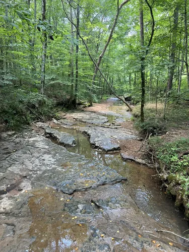 Best Hikes and Trails in Rotary Park | AllTrails