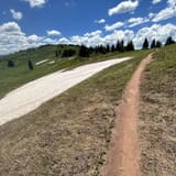 Engineer Mountain Trail, Colorado - 346 Reviews, Map | AllTrails