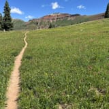 Engineer Mountain Trail, Colorado - 288 Reviews, Map | AllTrails