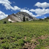 Engineer Mountain Trail, Colorado - 346 Reviews, Map | AllTrails
