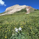 Engineer Mountain Trail, Colorado - 288 Reviews, Map | AllTrails