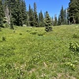 Engineer Mountain Trail, Colorado - 346 Reviews, Map | AllTrails