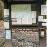 Bash Bish Falls Trail, Massachusetts - 1,058 Reviews, Map | AllTrails