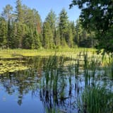 Calabogie Dirt Bike Route, Ontario, Canada - 17 Reviews, Map | AllTrails