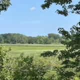 Tobico Marsh Trail, Michigan - 648 Reviews, Map | AllTrails