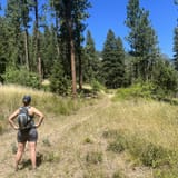 Mount Emily Recreation Area Loop, Oregon - 246 Reviews, Map | AllTrails