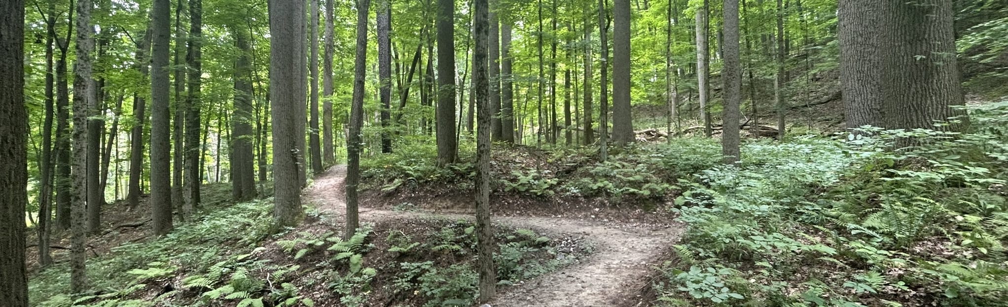 Buckeye Trail: Brecksville Stables to Bridle Trail: 293 Reviews, Map ...