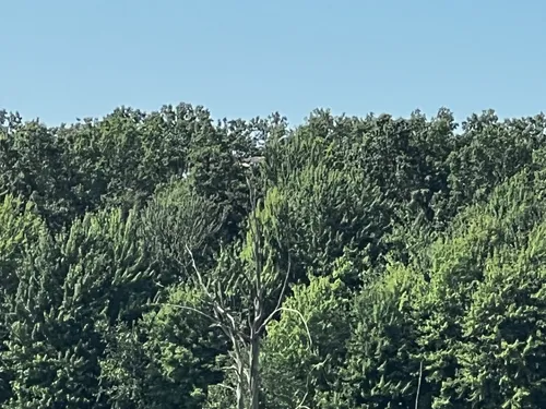 Best Hikes and Trails in Sandy Ridge Reservation | AllTrails