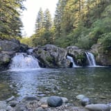Sunset Falls, Washington - 55 Reviews, Map | AllTrails