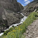 Schofield Pass Road, Colorado - 168 Reviews, Map | AllTrails