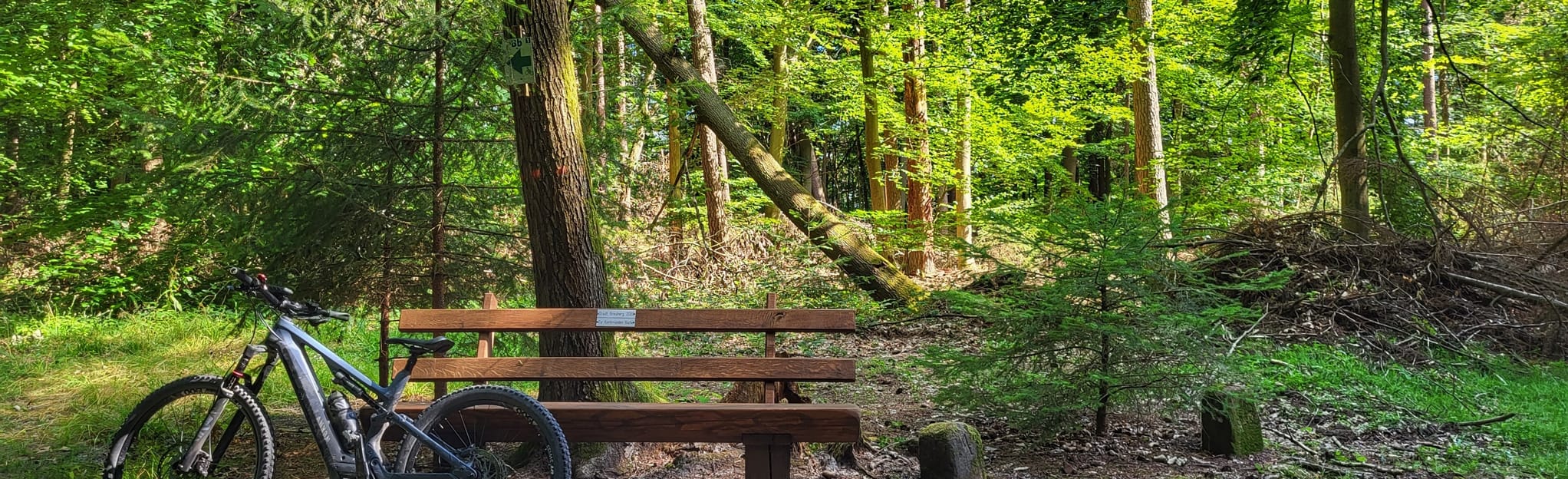 Rundwanderweg Wald-Amorbach: Goldloch-Weg: 2 Reviews, Map - Hesse ...