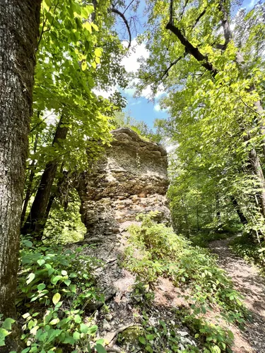 2023 Best Wild Flowers Trails in Decorah | AllTrails