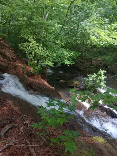 2023 Best Lake Trails in Rockmart | AllTrails