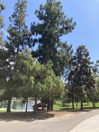 Best Hikes and Trails in Red Hill Park | AllTrails