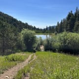 Tallman Ranch via Bridge Creek Trailhead, Colorado - 459 Reviews, Map ...