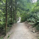 Sasamat Lake, British Columbia, Canada - 1,117 Reviews, Map | AllTrails