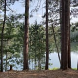 Becky Lake Trail, Minnesota - 39 Reviews, Map | AllTrails