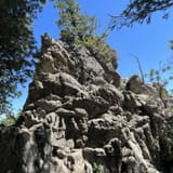 Rocks of Sharon Trail, Washington - 756 Reviews, Map | AllTrails