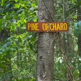 Pine Orchard Trail, New York - 82 Reviews, Map | AllTrails