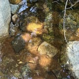 Packsaddle Cave Trail, California - 502 Reviews, Map | AllTrails