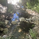 Packsaddle Cave Trail, California - 486 Reviews, Map | AllTrails