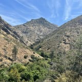 Packsaddle Cave Trail, California - 486 Reviews, Map | AllTrails