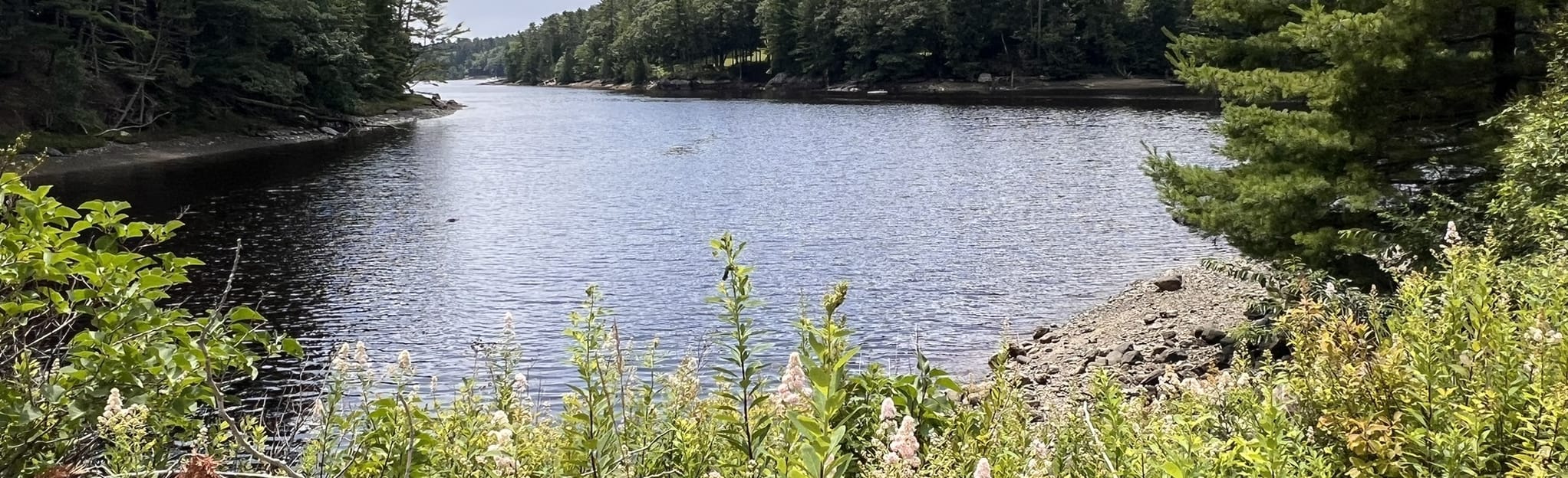 Peter's Brook and Three Bridges Loop: 67 Reviews, Map - Maine | AllTrails