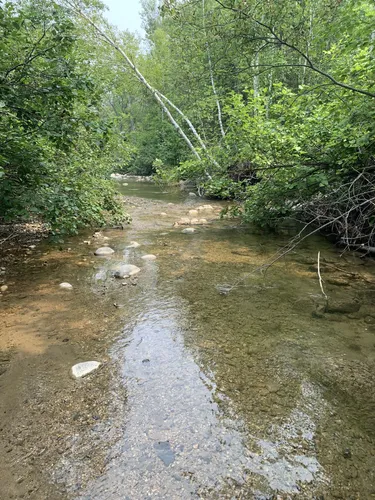 Best Camping Trails in McCreary | AllTrails