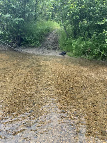Best Camping Trails in McCreary | AllTrails