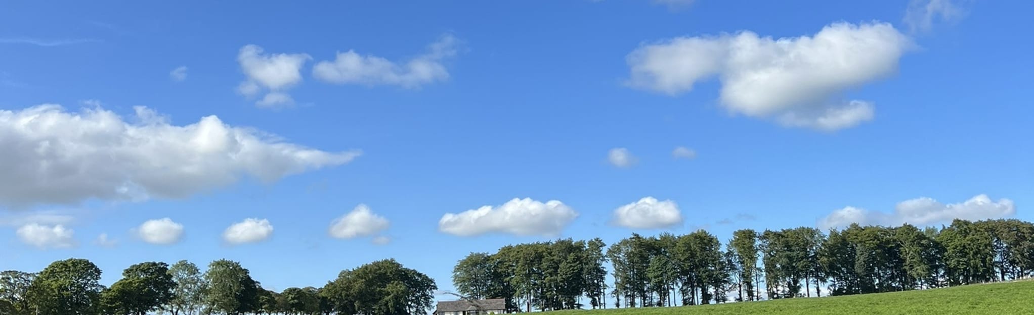 Piperdam Loch and Fowlis Easter Circular, Dundee City, Scotland - 11 ...