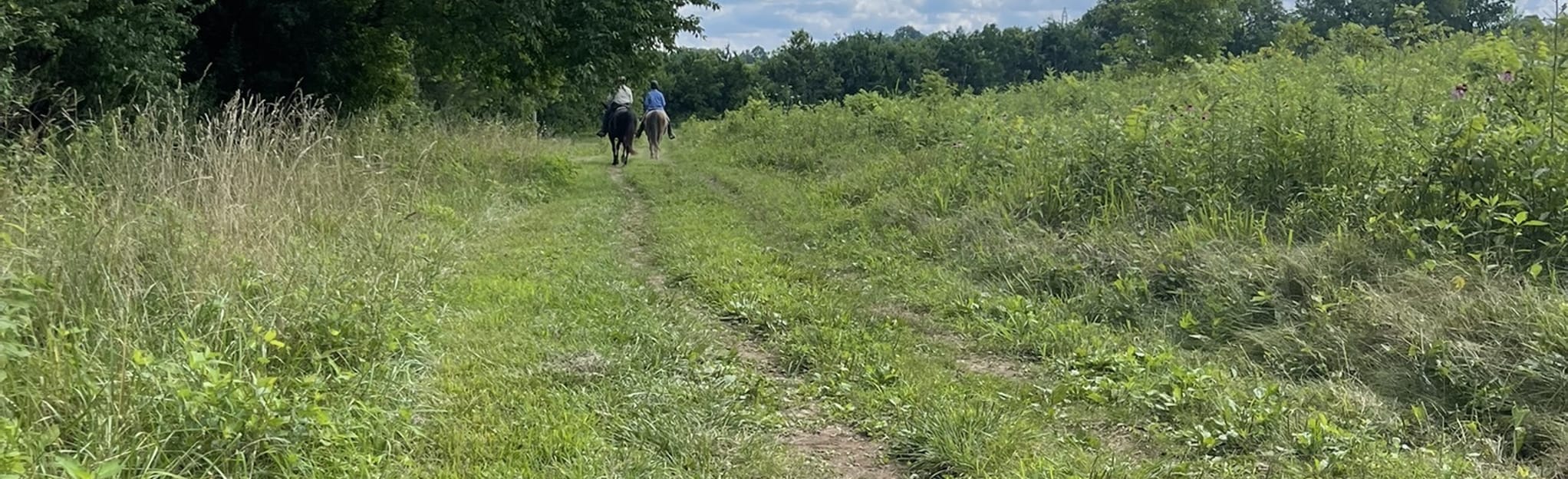 Chinquapin Trail Loop, Kentucky - 101 Reviews, Map | AllTrails