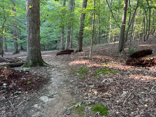 Best Hikes and Trails in Berkeley Lake Nature Preserve | AllTrails