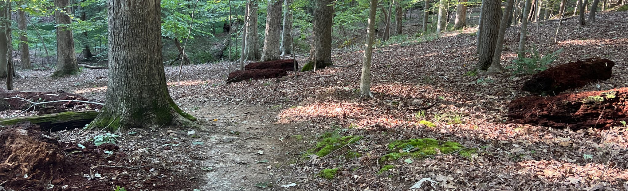 Berkeley Lake Nature Preserve Loop, Georgia - 40 Reviews, Map | AllTrails