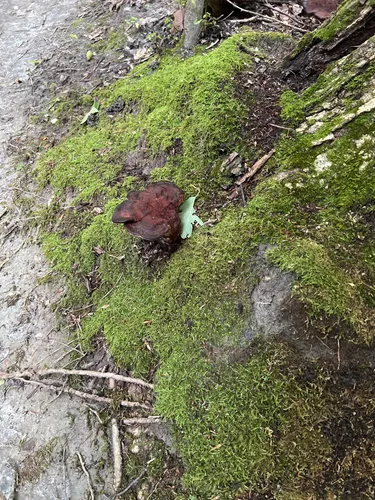 Best Hikes and Trails in Berkeley Lake Nature Preserve | AllTrails