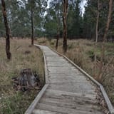 Mount Crawford Forest Reserve Loop, South Australia, Australia - 70 ...