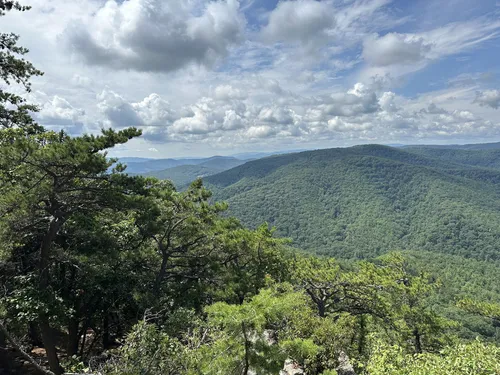 Best Hikes and Trails in Lost River State Park | AllTrails