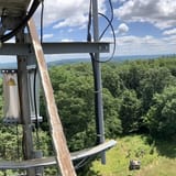 Mount Toby Trail, Massachusetts - 941 Reviews, Map | AllTrails