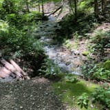 Mount Toby Trail, Massachusetts - 941 Reviews, Map | AllTrails