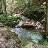 Mount Toby Trail, Massachusetts - 941 Reviews, Map | AllTrails