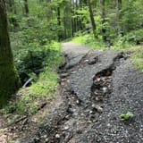 Mount Toby Trail, Massachusetts - 941 Reviews, Map | AllTrails