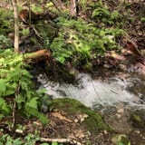 Mount Toby Trail, Massachusetts - 941 Reviews, Map | AllTrails