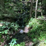 Mount Toby Trail, Massachusetts - 941 Reviews, Map | AllTrails